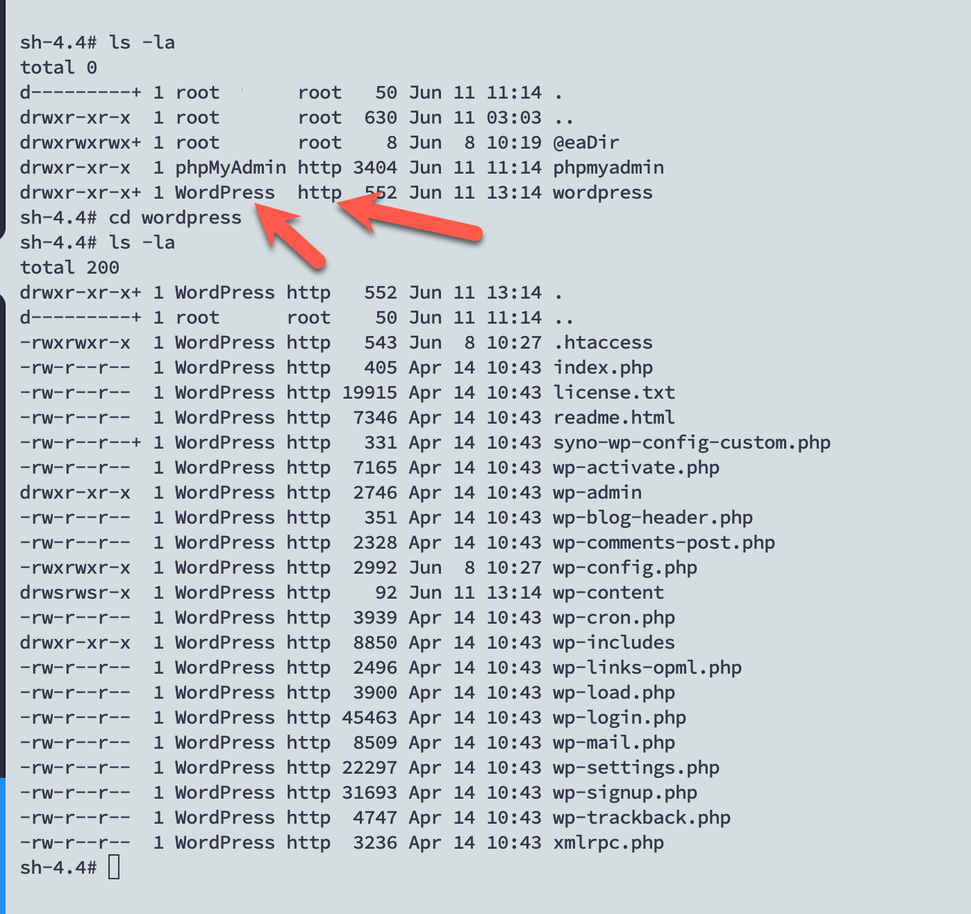 WordPress on Synology NAS: Your Easy and Reliable Installation Guide